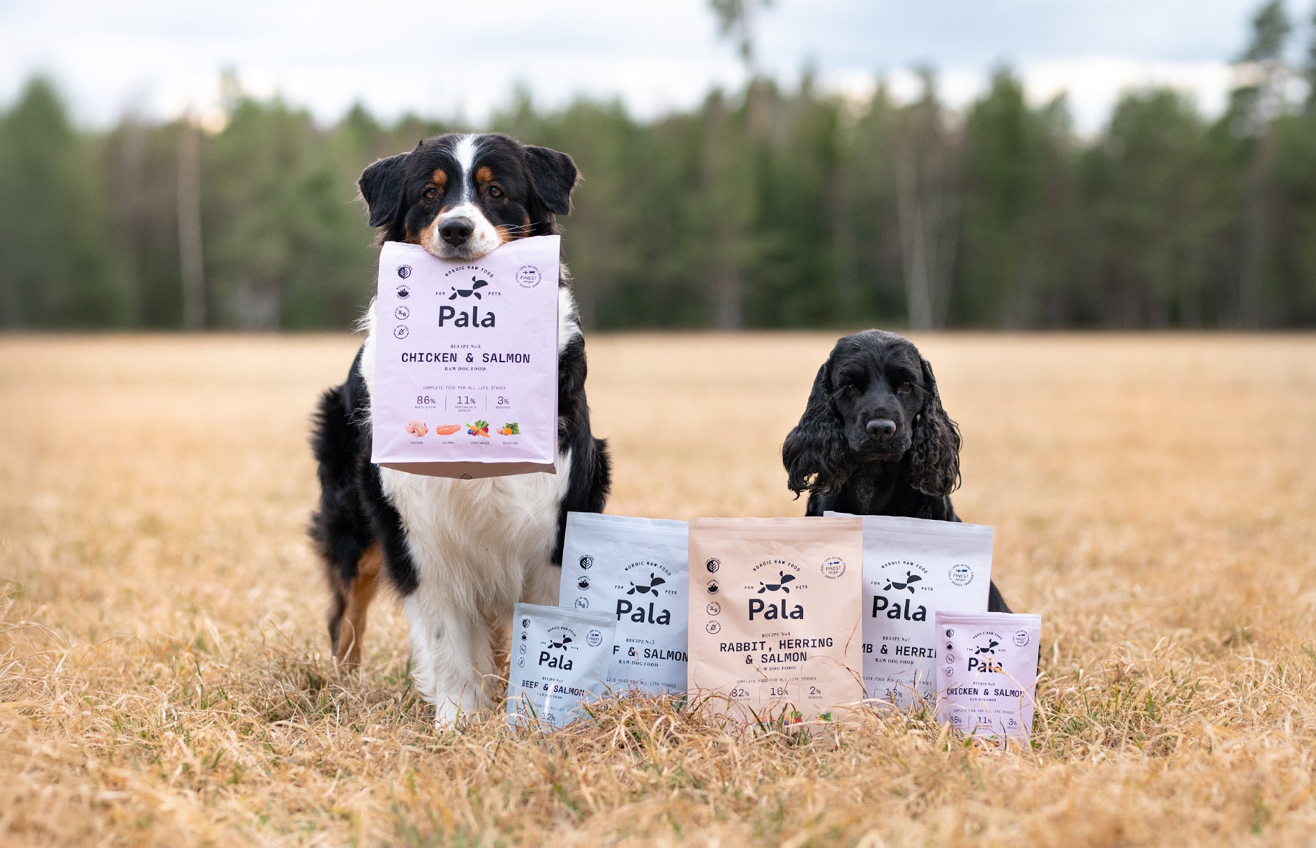 Nordic Raw Food for Pets