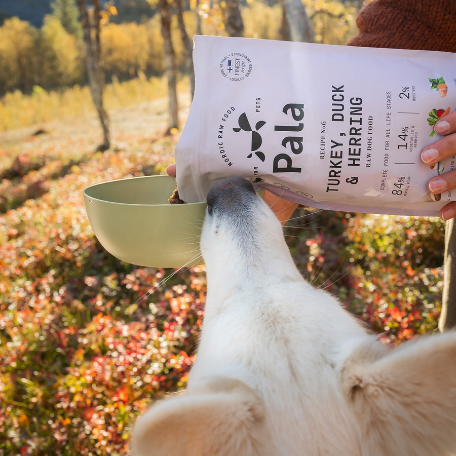 Our food - Grain free, natural dog food